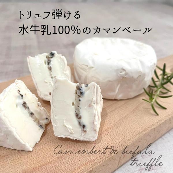 「カマンベール」は、通常、牛のミルクで作られた手のひらサイズの白かびチーズ。こちらのカマンベールは、珍しい水牛のミルク100％！牛乳製カマンベールよりもっちり、しっとり、弾力あり...お口の中でじんわり溶けるミルキーさがあります。ミルキーで...