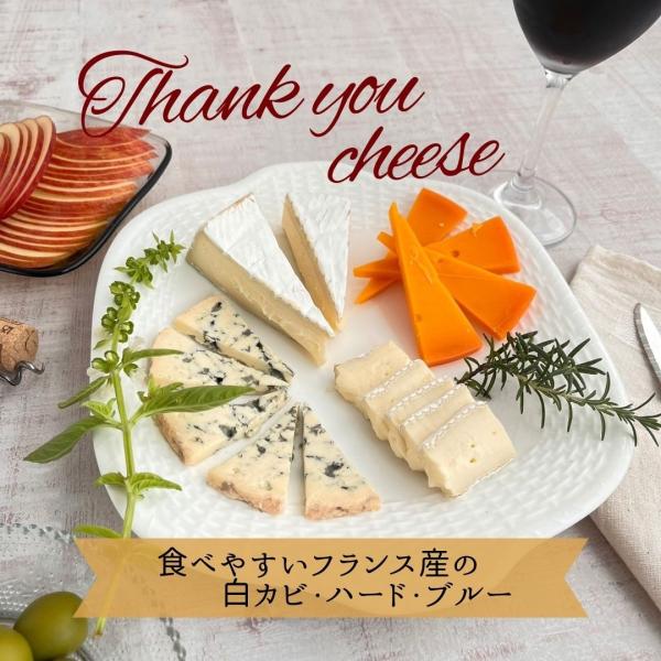 どなたでも食べやすいチーズ3種類を詰め合わせました！サンキューな気持ちものせて、お礼を伝えたい方にぜひ！【セット内容】■ブリードキャトルフォイユ【内容量】170ｇ【原産国】フランス【タイプ】白カビ【原材料名】生乳、食塩■フルムダンベール【内...