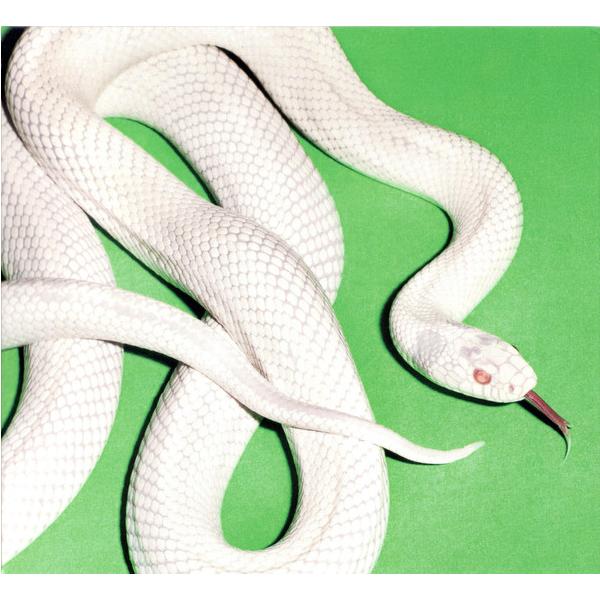 【案内事項】配送方法・お届け目安・返品対応などを（画像）に掲載【商品説明】1枚組CD紙製ケース、激しさと夢のような浮遊感が交差するデフトーンズの新たな境地、名プロデューサーと再集結し全11曲に研ぎ澄まされた進化を凝縮、自然の驚異や肉体を超え...