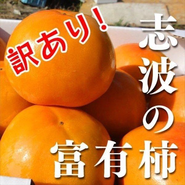 製造者/生産名日本通販ショップ原産地福岡県