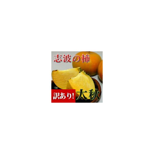 訳あり！キズ・変形などちょっと見た目が悪い柿を特別価格でご提供。《志波の柿》太秋は、梨のように甘く、サクサクとした食感が味わえる人気の甘柿です。10月に収穫時期を迎え、たった１ヶ月程しか味わえないことから「まぼろしの柿」とも言われています。