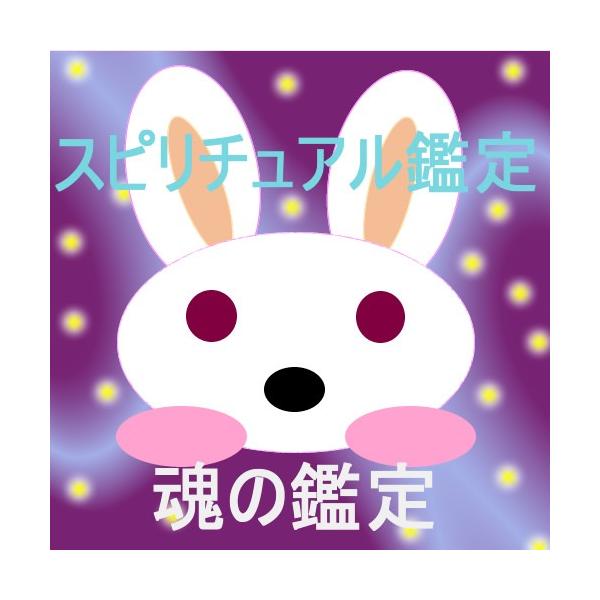 魂の状態が風景として見えます。踊っていたり、走っていたり、状況によって魂は様々な姿をしています。魂と生きている人の容姿は異なります。魂の情景は自分の願望や本質的な感情、状況をあらわしています。気になる方やお子様も鑑定致します。ご購入後、心臓...