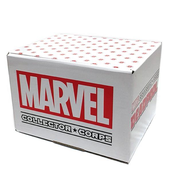 ［輸入品］［国内倉庫発送］AMAZON×MARVEL×FUNKO×、アマゾンよりマーベル、コレクターコープスがお届けする、入っているもの全てココでしか手に入らない限定品を詰め込んだボックスセットが登場しました。初回、2018年7月のボックス...