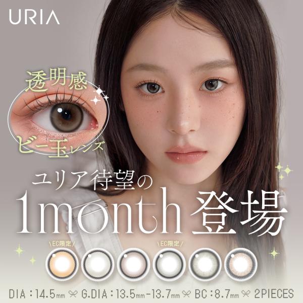 ●1箱2枚入り●使用期間：1ヶ月●DIA：14.5mm●着色直径:13.5ｍｍ（ヌード ブラウン、ココア）13.7ｍｍ（ウォーターブラウン、アールグレー、アッシュブラウン、エッセンシャルグレー）●BC：8.7mm●含水率：38.5％●度数：...