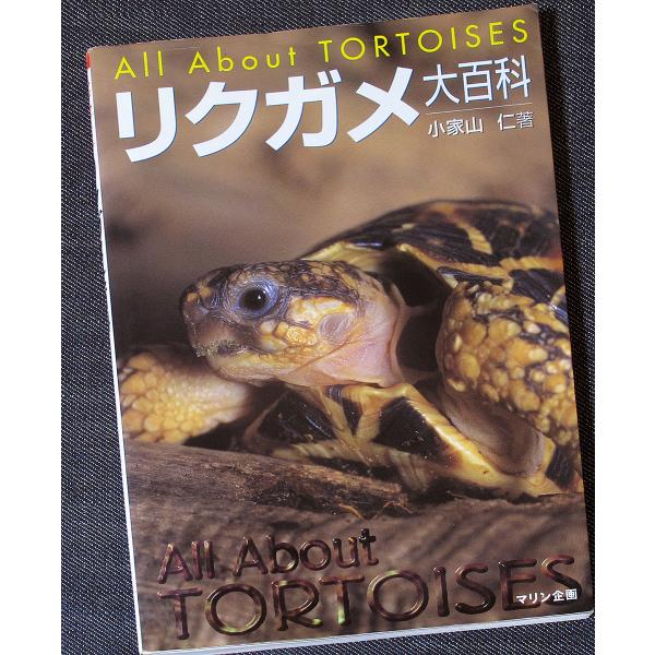 ◇単行本/A5判/127頁/2074円(税込)◇小家山仁（著）/エムピージェー（刊）/2003年8月初版（発行）カメの中でも日本人に人気の高いリクガメ。この愛すべき、そして貴重な存在であるリクガメを飼育する上で少しでも飼育者の役に立つように...