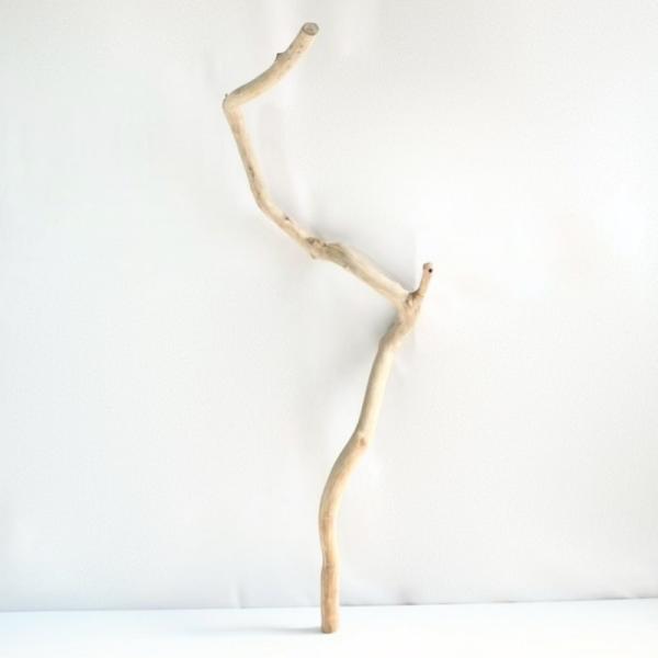 流木 特大 ハンギング 棒 素材 インテリア 観葉植物 ハンガー 吊り下げ 壁掛け 園芸 1m以上 長い 短い 太い 細い 大 中 小 流木アート DIY 吊るす 玄関 素材 1点物 現物画像 現物 棒流木 ダメージウッド採取後洗浄、天日干...