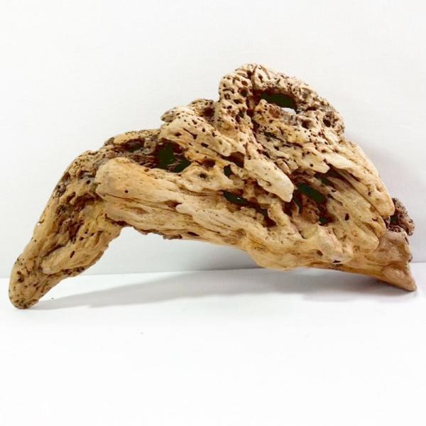 【商品名】流木 塊流木 インテリアデザイン 造園 工芸品 パルダリウム エアプランツ 飾り 昆虫 止まり木 登り木 レイアウト オブジェ パーチ 爬虫類 両生類 鳥類 テラリウム DIY 素材 一点物 現物画像【商品説明】採取後洗浄、ヤスリ...
