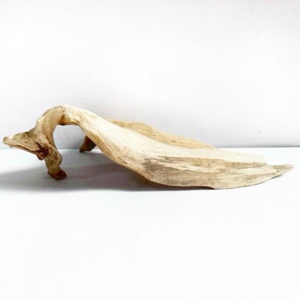 【商品名】流木 塊流木 インテリアデザイン 造園 工芸品 パルダリウム エアプランツ 飾り 昆虫 止まり木 登り木 レイアウト オブジェ パーチ 爬虫類 両生類 鳥類 テラリウム DIY 素材 一点物 現物画像【商品説明】採取後洗浄、ヤスリ...