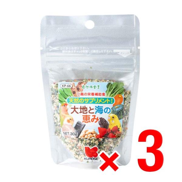 ご覧いただきまして、誠にありがとうございます。下記へ商品詳細や発送・梱包に関する注意事項を記載させていただきましたので、ご購入前にご一読をお願い致します。＜商品説明＞小鳥用の栄養補助食です。穀物だけでは不足しがちなビタミン、ミネラルを摂取出...