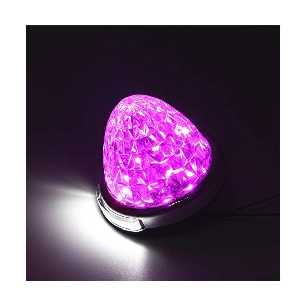 ピンク/2個セット/-・Color:ピンクSize:2個セット・製品情報24Vトラック専用のサイドマーカーです。迫力満点の発光でトラックの外観を明るくイメージチェンジします。ダウンライトも付いた豪華バージョンです！トラック全周囲装着に最適で...