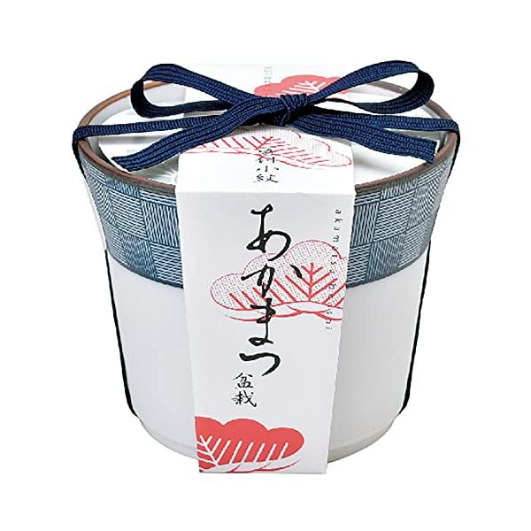 赤松ホワイト/9cm/GD-45204・Style:赤松・パッケージ個数:1・商品サイズ:約9×9×7.8cm・セット内容:容器(陶器) 土 種 説明書×各1・モダンな和柄の器で赤松を栽培します・赤松樹皮は赤みを帯びた茶色。繊細でしなやかな...