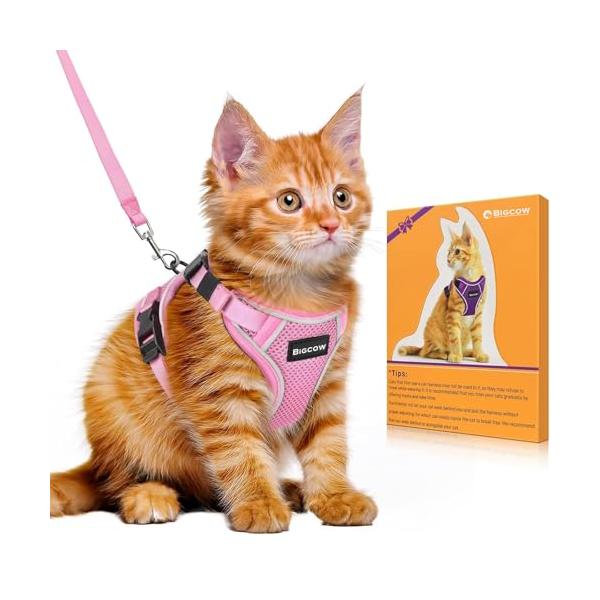 ピンク/S/-・Color:ピンクSize:S・??{違った体験！ダブルロックタイプ}?{ダブル調整機能}??本タイプの製品は、固定する部分が肩回り・胴回りの2カ所に分かれており、それぞれ別に調整できるのが特徴。どちらか一方が外れてしまった...