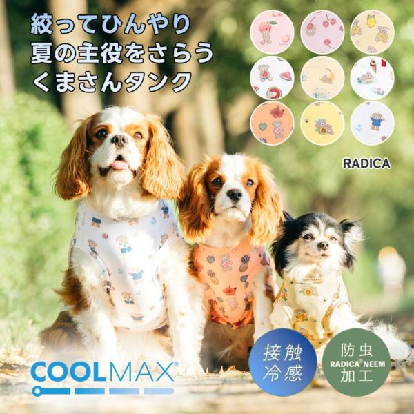 【発売日：2026年05月15日】※サイズ展開： SSサイズ Sサイズ Mサイズ Lサイズ LLサイズ 3Lサイズ SDサイズ MDサイズ LDサイズ　　　　　　 　柴Lサイズ 柴LLサイズ 柴3Lサイズ▼▽▼▼▼▼▼▽▼ 【 商 品 詳 ...