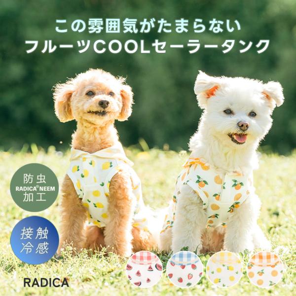 ※サイズ展開： Sサイズ Mサイズ Lサイズ LLサイズ 3Lサイズ SDサイズ MDサイズ LDサイズ　　　　　　　柴Lサイズ 柴LLサイズ 柴3Lサイズ▼▽▼▼▼▼▼▽▼ 【 商 品 詳 細 】 ▼▽▼▼▼▼▼▽▼商品カテゴリ：犬 RA...