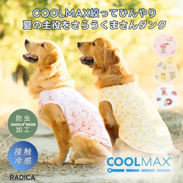 【発売日：2026年05月15日】※サイズ展開： BSサイズ BMサイズ BLサイズ▼▽▼▼▼▼▼▽▼ 【 商 品 詳 細 】 ▼▽▼▼▼▼▼▽▼商品カテゴリ：犬 RADICA 犬服 犬の服 2026 春 夏 新作かわいい おしゃれ 春夏 ...