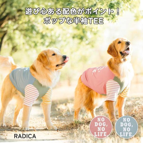 ※サイズ展開： BSサイズ BMサイズ BLサイズ▼▽▼▼▼▼▼▽▼ 【 商 品 詳 細 】 ▼▽▼▼▼▼▼▽▼商品カテゴリ：犬 RADICA 犬服 犬の服 2026 春 夏 新作かわいい おしゃれ 春夏 春用 夏用 男の子 女の子 ボーダ...
