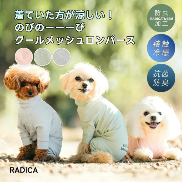 【発売日：2026年03月18日】※サイズ展開： Sサイズ Mサイズ Lサイズ LLサイズ 3Lサイズ　　　　　　　柴Lサイズ 柴LLサイズ 柴3Lサイズ▼▽▼▼▼▼▼▽▼ 【 商 品 詳 細 】 ▼▽▼▼▼▼▼▽▼商品カテゴリ：犬 RAD...