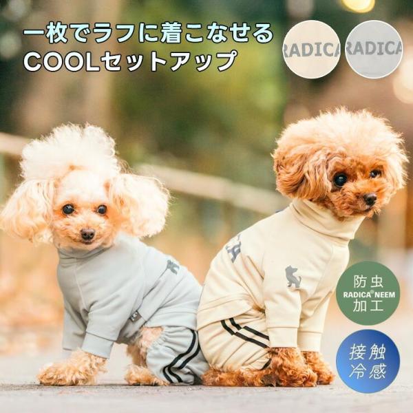 【発売日：2026年03月18日】※サイズ展開：SS S M L LL 柴L 柴LL SD MD▼▽▼▼▼▼▼▽▼ 【 商 品 詳 細 】 ▼▽▼▼▼▼▼▽▼商品カテゴリ：犬 RADICA 犬服 小型犬 犬の服かわいい おしゃれ 男の子 女...