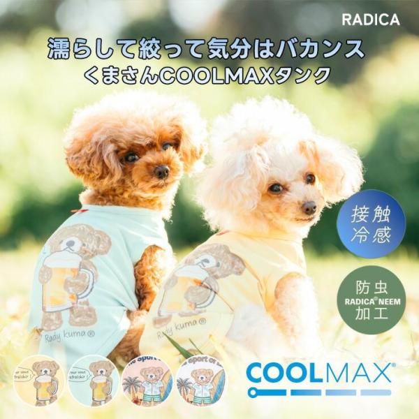 【発売日：2026年05月15日】※サイズ展開： Sサイズ Mサイズ Lサイズ LLサイズ 3Lサイズ　　　　　　　柴Lサイズ 柴LLサイズ 柴3Lサイズ▼▽▼▼▼▼▼▽▼ 【 商 品 詳 細 】 ▼▽▼▼▼▼▼▽▼商品カテゴリ：犬 RAD...