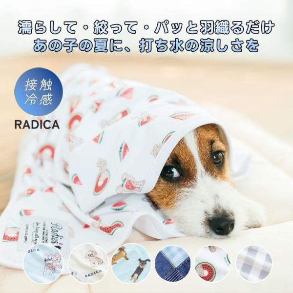 【発売日：2026年04月16日】※サイズ展開： Fサイズ▼▽▼▼▼▼▼▽▼ 【 商 品 詳 細 】 ▼▽▼▼▼▼▼▽▼商品カテゴリ：RADICA ラディカ ペット ペットグッズ ペット用品 かわいい おしゃれベッド 犬 春ベッド 犬 夏ベ...