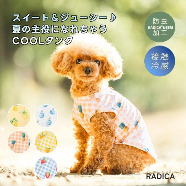 【発売日：2026年04月16日】※サイズ展開： Sサイズ Mサイズ Lサイズ LLサイズ　　　　　　　柴Lサイズ 柴LLサイズ▼▽▼▼▼▼▼▽▼ 【 商 品 詳 細 】 ▼▽▼▼▼▼▼▽▼商品カテゴリ：犬 RADICA 犬服 小型犬 犬の...