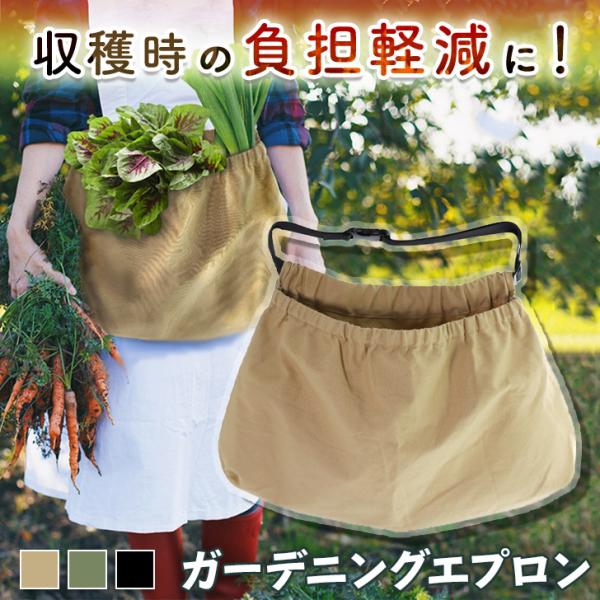カゴいらずで収穫できるガーデニングエプロンショート丈のエプロンと大容量ポケットがひとつになった便利アイテム。しっかりと丈夫な生地を使用し、ポケットの口にはゴム入りで、中身がこぼれにくく出し入れもしやすい設計。余計なポケットが無いので、ひっく...