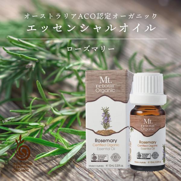 ハーブ　シソ科系　トップノート　ミンティー1　爽快清涼3　辛味1　草土2　ストレス　元気活力　浄化　あたまスッキリ　おなかスッキリ　ジョイント　集中　女性の健康　スキン　ヘア　筋肉　冷え　Cellulite　子供おだやか　1000円台