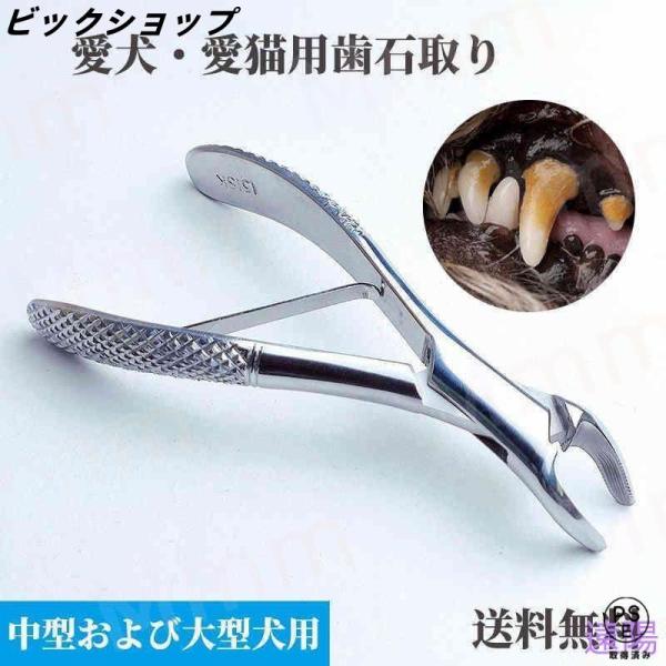 今、愛犬愛猫の歯石問題でお悩みの方が急増 しています。歯石は、放っておくと口臭だけではなく、歯肉炎等引き起こし、愛犬愛猫の健康に多大な影響を及ぼします。一度ついてしまった歯石はハミガキで取り除くことはできません。かといって、放っておくとます...