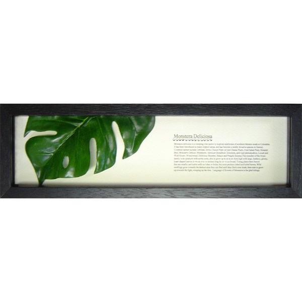 【発売日：2014年08月05日】本物のような質感をもつフェイクグリーンをシックな額にレイアウトしたハワイアン＆アジアンテイストのミニアートです。玄関先やトイレ、キッチン等にちょっと飾ったり、気軽にプレゼントできるアイテムとして人気がありま...