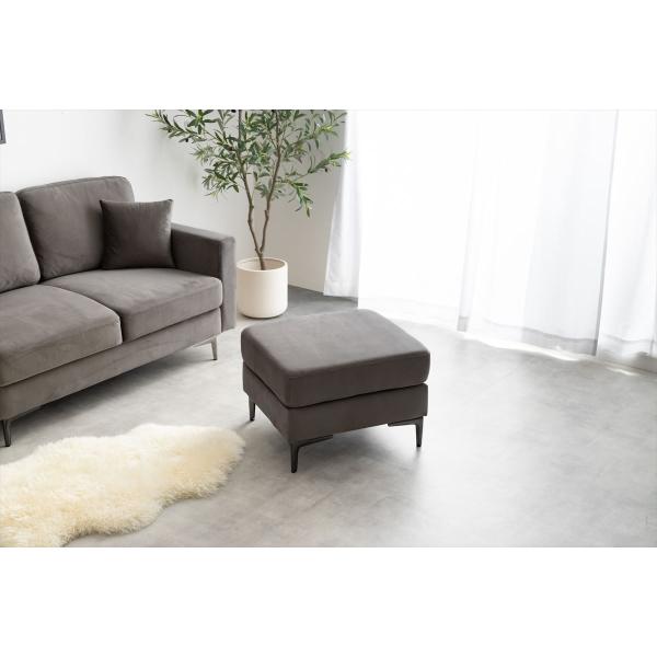 【発売日：2024年11月01日】上質な空間へと導き、ゆったりくつろげる『Ally(アリー)』シリーズのオットマン。ベロア×ブラックアイアン脚の組み合わせが、空間に上質な印象を与えてくれます。シンプルながらも高級感を感じさせるデザインと、ゆ...