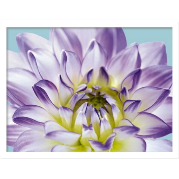 【発売日：2023年11月11日】FOSSEY GEORGE/DAHLIA IN TEAL Iお部屋のイメージを彩るワンランク上のインテリアアートです。ホテル、商業施設等のディスプレイとしてもご好評頂いております。サイズ：W850xH650...