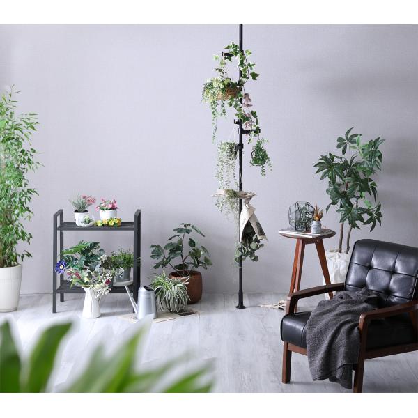 【発売日：2024年06月01日】床と天井があれば、お部屋のどこでも使う事が出来る、おしゃれなつっぱりポールハンガー質感にこだわったデザインで、ざらりとした質感が高級感を演出します。観葉植物を飾ったり、デスクサイドで補助収納として使ったり、...