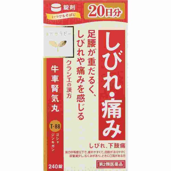 【第2類医薬品】