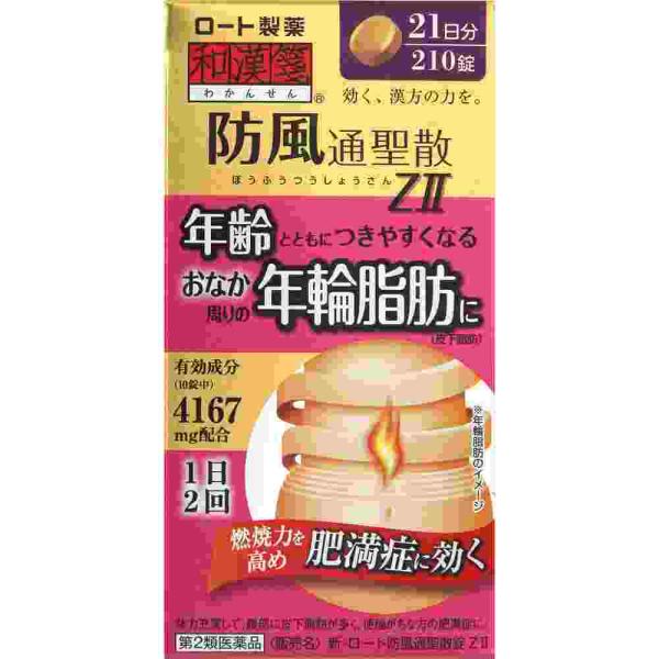 【第2類医薬品】