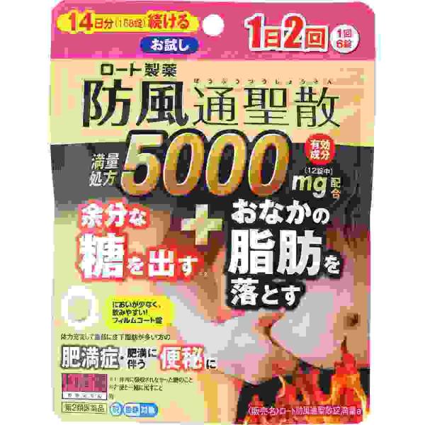 【第2類医薬品】
