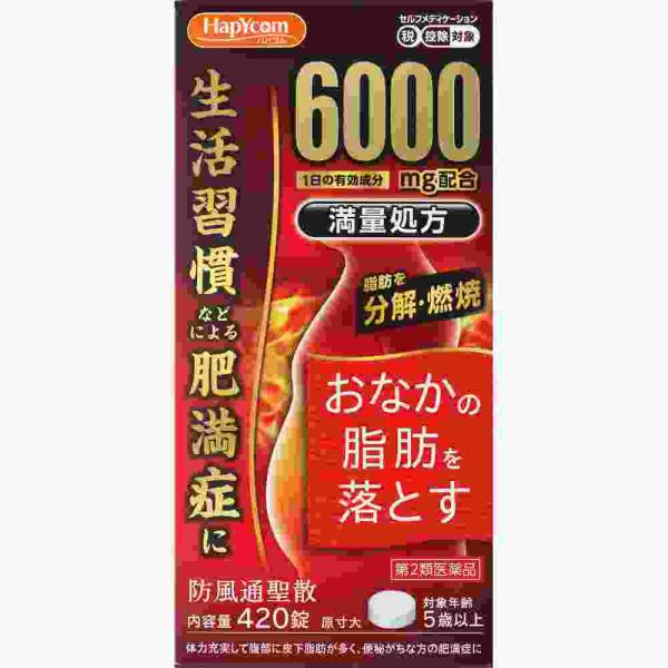 【第2類医薬品】