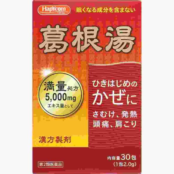 【第2類医薬品】
