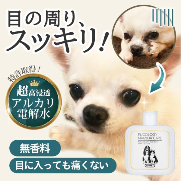 犬 猫 涙やけ クリーナー アトペット フコロジー ナミダケア 80mL フコイダン アルカリ電解水 舐めても安心 目に入っても痛くないお肌の弱いペットのための うるおう涙やけケア。大容量80mLボトルサイズ新登場！アルカリ電解水の除菌洗浄...