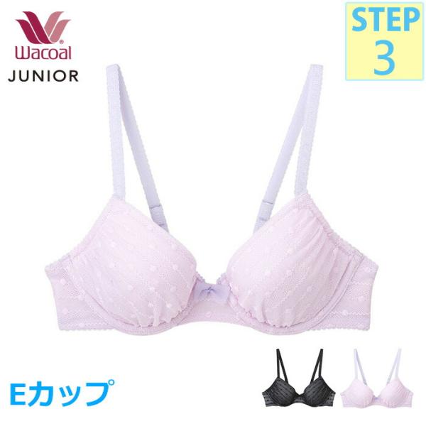 サイズ E65.E70.E75   カラー PU：ピンク BL：ブラック    主材料 ナイロン、ポリウレタン     バックホック後ろホック／ホック2段2調節  ワイヤー  Ｕ字樹脂ワイヤー   パッドパッド受けなし   ストラップ 調整可