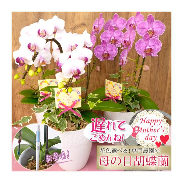 母の日母の日 2026母の日 プレゼント母の日 花母の日 2026 花母の日ギフト母の日 花 ギフト