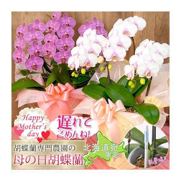 母の日母の日 2026母の日 プレゼント母の日 花母の日 2026 花母の日ギフト母の日 花 ギフト