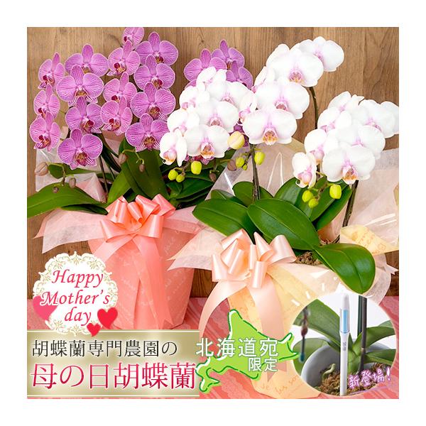 母の日母の日 2026母の日 プレゼント母の日 花母の日 2026 花母の日ギフト母の日 花 ギフト