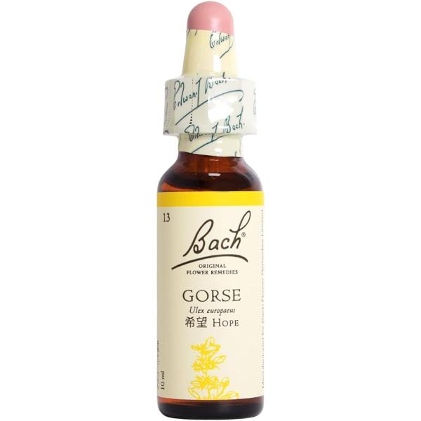 "【ゴースのキーワード：可能性を否定する・内心諦めている・理由の無い絶望感】★正規販売店・バッチフラワーレメディーはいつでも飲める安心のノンアルコールタイプ★バッチフラワーレメディは、イギリスの細菌学者であったエドワードバッチ博士により発見...