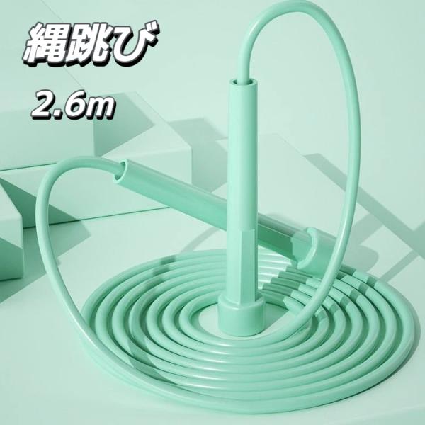 材質：PVC仕様: 2.6m