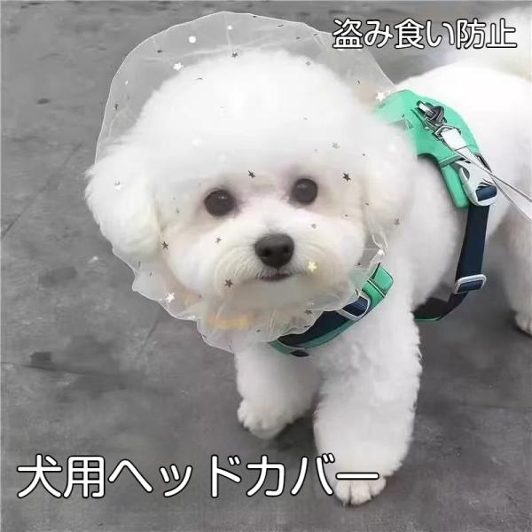 【こんな時におすすめ】・散歩中の拾い食い・誤食防止に・皮膚トラブルや術後の舐め防止に・食事中の盗み食い対策に・エリザベスカラーが苦手なワンちゃんに【仕様】セット内容：2 個セットカラー：イエロー / ピンク / クリア（ブラックリボン） /...