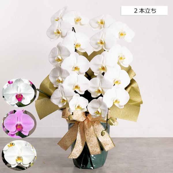 【おすすめのシーン】<お祝い>開店祝い/就任祝い/新築祝い/開業祝い/選挙応援や当選祝い/周年祝い/お誕生日祝い/長寿祝い/母の日<お供え・お悔み>お盆/お彼岸/葬儀/お通夜/告別式/四十九日/一回忌/三回忌/七回忌...