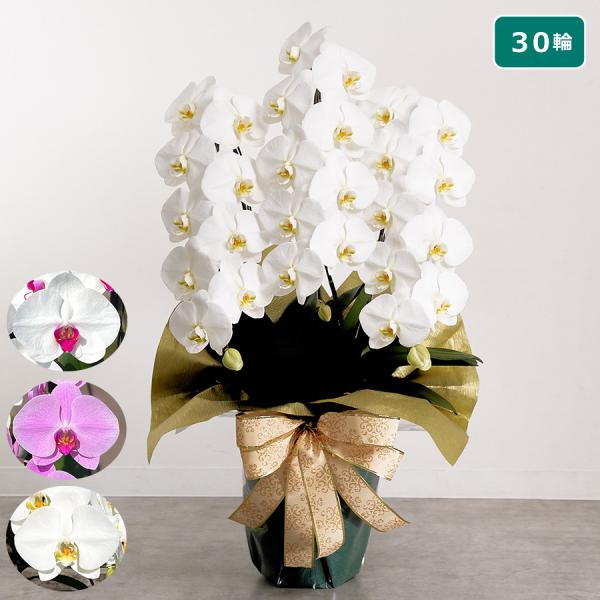 【おすすめのシーン】<お祝い>開店祝い/就任祝い/新築祝い/開業祝い/選挙応援や当選祝い/周年祝い/お誕生日祝い/長寿祝い/母の日<お供え・お悔み>お盆/お彼岸/葬儀/お通夜/告別式/四十九日/一回忌/三回忌/七回忌...