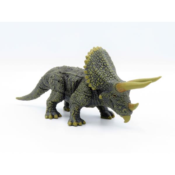 草食恐竜のなかでも知名度が高いトリケラトプス。最も目立つトリケラトプスの頭部は、幅が1.2〜1.5ｍにもおよび、見事な３本の角と張り出した盾を備えています。口の上にある短めの１本と目の上にある長めの２本の角は、敵である肉食恐竜と闘っていまし...