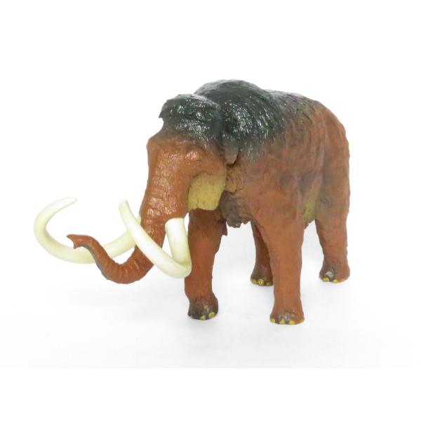 約40万年から約4000年前まで生息していた絶滅ゾウの一種【ケナガマンモス】のソフトフィギュアモデルです。小さなサイズなのでコレクションとして飾るのもオススメの商品です。■サイズ：L21.3×W8×H12.7cm / 518g■素材：ATB...
