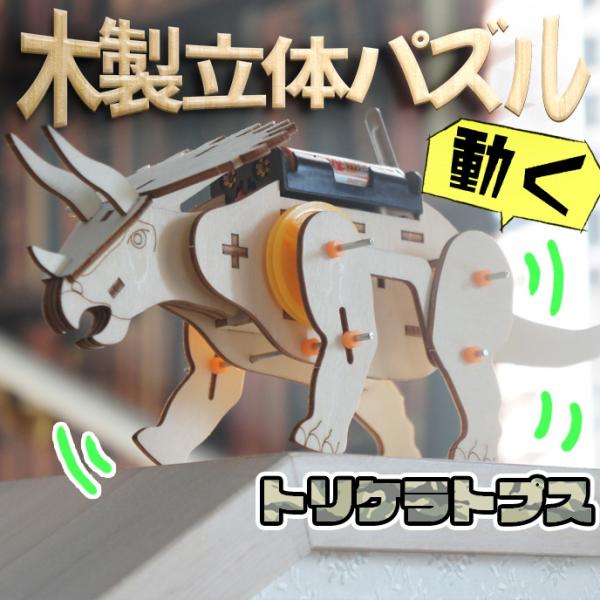 当商品ページをご覧いただきありがとうございます◆原則24時間以内に発送しています◆梱包材を使った丁寧な梱包を心がけています◆商品の特徴◆接着剤を使わず組み立てが可能な立体パズルです付属の組み立て方説明書で解き方を確認しながら組み立てることも...